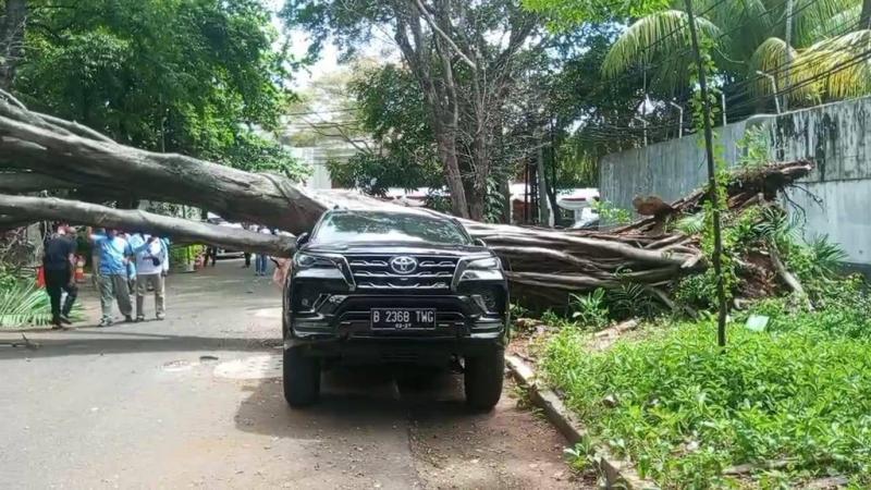 Ada Apa Pohon Besar di Seberang Rumah Prabowo Tumbang Timpa Fortuner