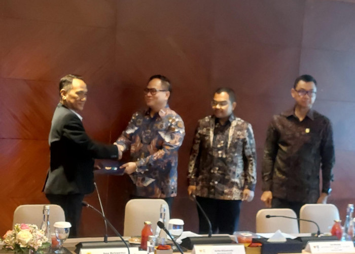 Resmi, Burhanuddin Abdullah & Andi Arief Jadi Komut & Komisaris PLN