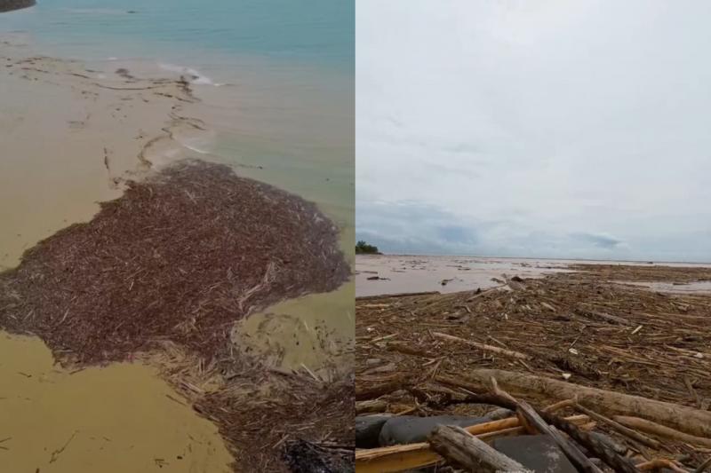 Imbas Banjir Bandang, Ribuan Potongan Kayu Penuhi Pantai Parkit Padang