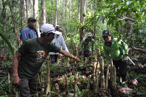 Program Perhutanan Sosial hanya Melegalisasi Penggunaan Lahan Hutan ...